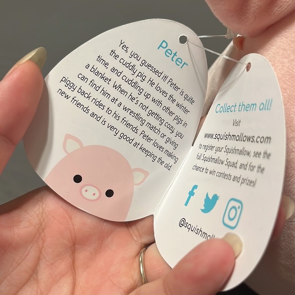 Kellytoy | Toys | Peter Squishmallow 8in | Poshmark